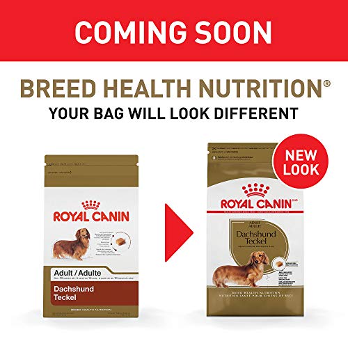 Royal Canin Dachshund Adult Breed Specific Dry Dog Food, 10 lb bag