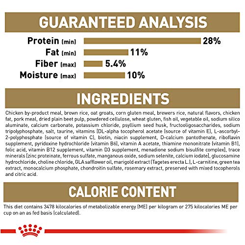 Royal Canin Labrador Retriever Adult Dry Dog Food, 30 lb bag