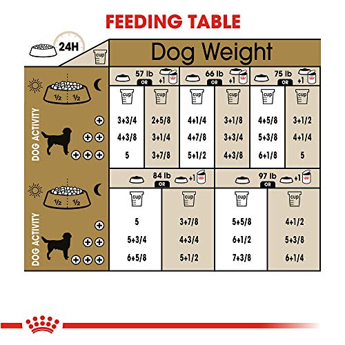 Royal Canin Labrador Retriever Adult Dry Dog Food, 30 lb bag