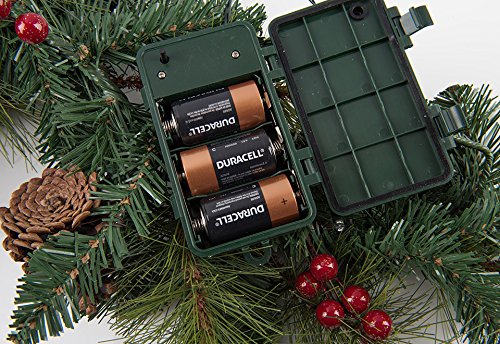 Sharper Image 9-Ft. Cordless Pre-Lit Indoor/Outdoor Garland