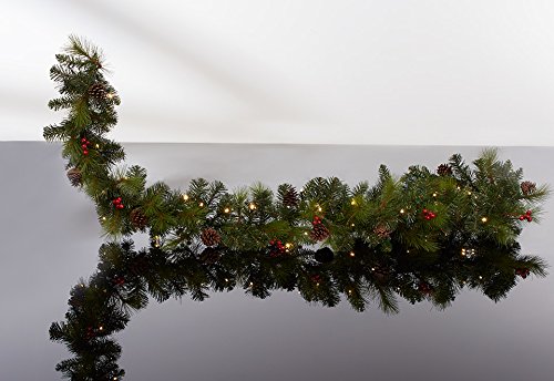 Sharper Image 9-Ft. Cordless Pre-Lit Indoor/Outdoor Garland