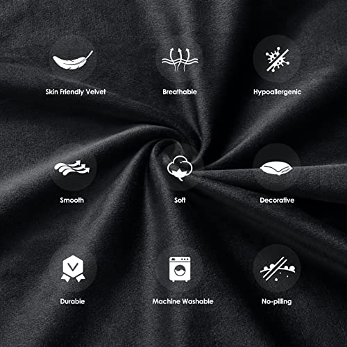 Homelike Moment Throw Pillow Covers 12x20 Set of 2, Black Velvet Decorative Couch Pillow Cover Soft Lumbar Cushion Cases for Sofa Bed Car (12x20 Inch, Black)