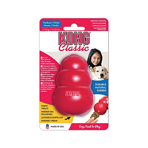 KONG Classic Medium Dog Toy Red Medium Pack of 2