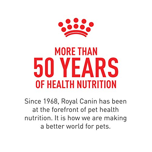 Royal Canin Feline Health Nutrition Kitten Dry Cat Food, 14 lb Bag