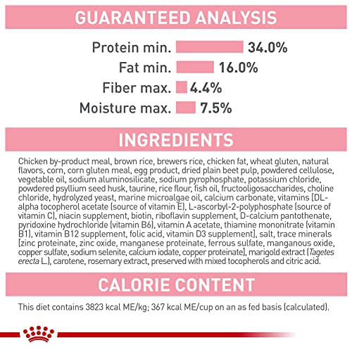 Royal Canin Feline Health Nutrition Kitten Dry Cat Food, 14 lb Bag