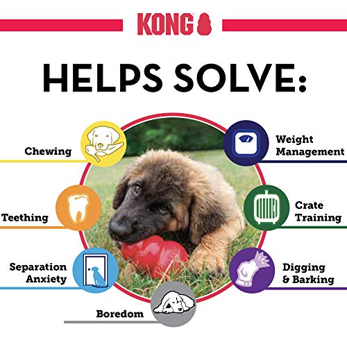 KONG - Puppy Toy Natural Teething Rubber - Fun to Chew, Chase and Fetch - Blue, for Medium Puppies