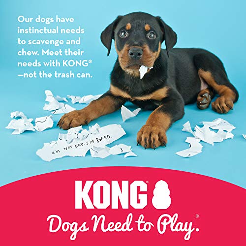 KONG - Puppy Toy Natural Teething Rubber - Fun to Chew, Chase and Fetch - Blue, for Medium Puppies