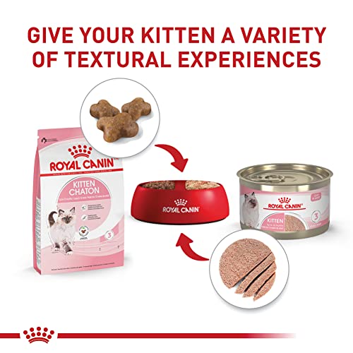 Royal Canin Feline Health Nutrition Kitten Dry Cat Food, 14 lb Bag