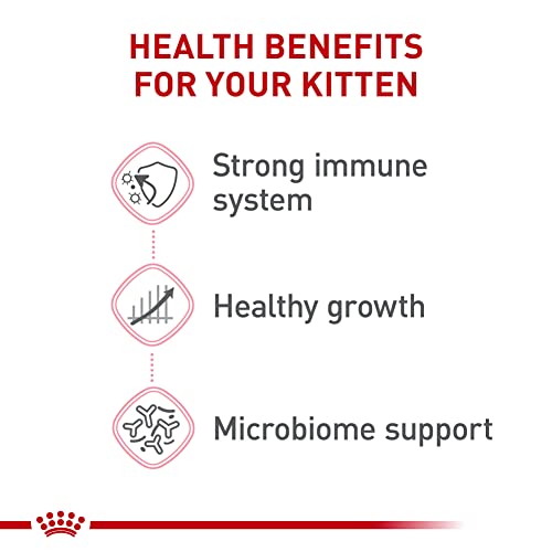 Royal Canin Feline Health Nutrition Kitten Dry Cat Food, 14 lb Bag