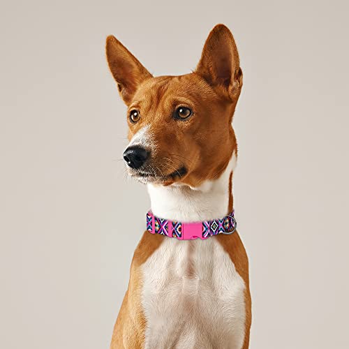 Tribal Dog Collar with Buckle Pattern Aztec Geometric Nylon Pet Collars Small Medium Large Puppy Adjustable Soft Ethnic Boy Girl (Aztec, Neck Fit 10"-13")