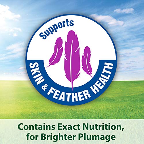 Kaytee Exact Rainbow Parrot And Conure Food, 20 Lb