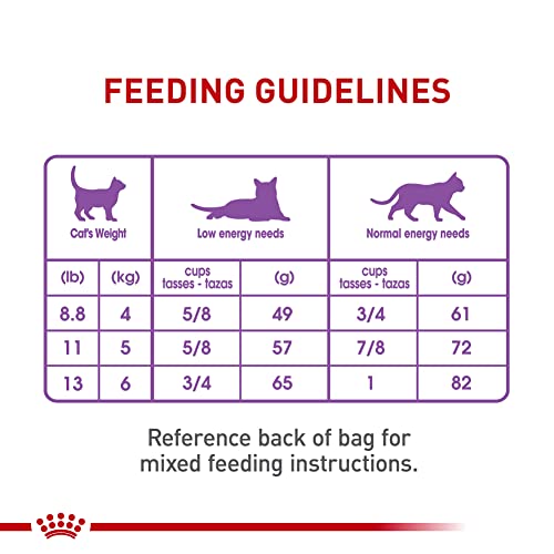 Royal Canin Feline Care Nutrition Appetite Control Dry Cat Food, 14 lb Bag