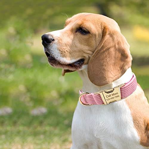 Personalized Dog Collar with Engraved Name and Phone Number Customization for Medium to Large Breeds with Gold Metal Buckle (Stripe Velvet)