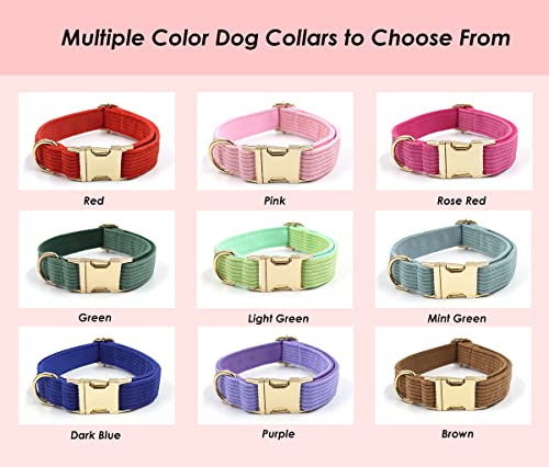 Personalized Dog Collar with Engraved Name and Phone Number Customization for Medium to Large Breeds with Gold Metal Buckle (Stripe Velvet)