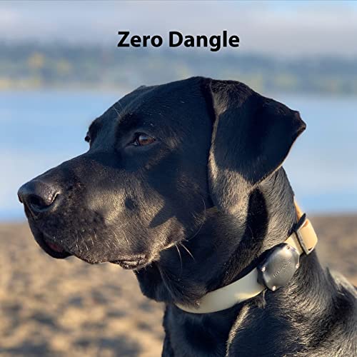 TagVault Pet (4 Pack) - The Original AirTag Dog Collar Waterproof Mount, Ultra-Durable, Fits All Width Collars | Elevation Lab