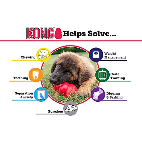 KONG Small Puppy Teething Toy - Colors May Vary (2 Pack)