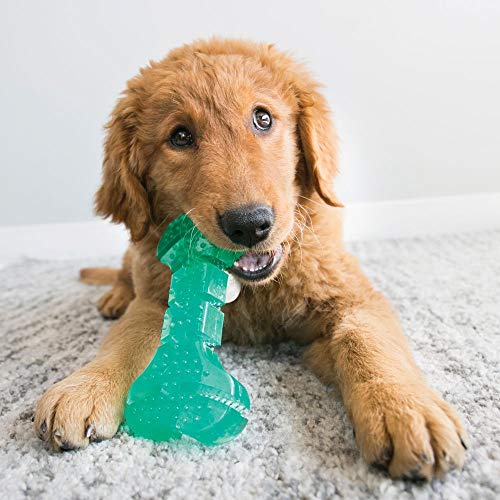 KONG - Squeezz Dental Stick - Unique Flexible Texture, Teeth and Gum Cleaning Dog Toy - for Medium/Large Dogs