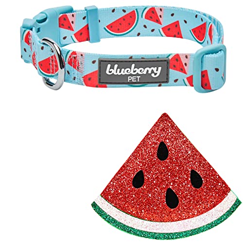 Blueberry Pet 2022 New Summer Sparkle Dog Collar, Adjustable Medium Size, Neck 14.5"-20", Zesty Fruit Watermelon Blue, Pet Collar with Detachable Accessory