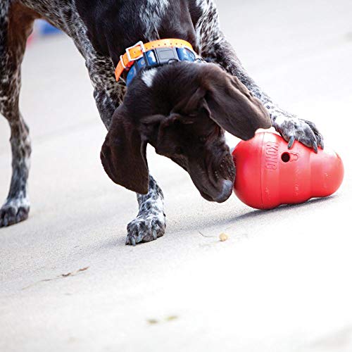 KONG Wobbler Dog Toy - Interactive Dog Treat Dispensing Toy - for Large Dogs