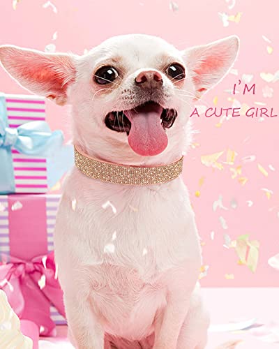 Dog Collar for Small Dogs, Adjustable Leather Suede Bling Dog Collars,Pink Dog Collar Cat Collar, Rhinestone Dog Collar(S, Pink)