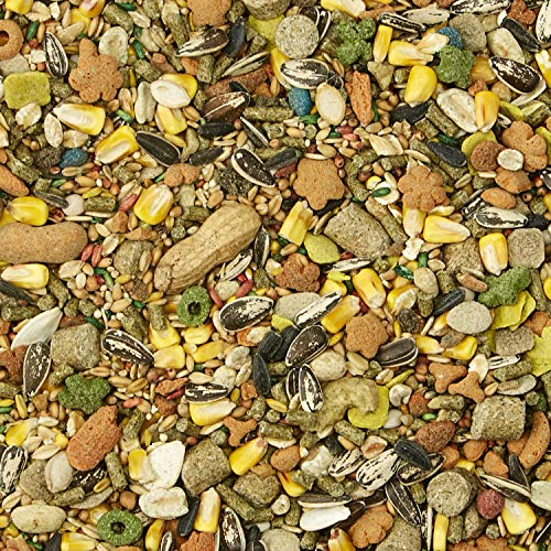 Kaytee Fiesta Pet Mouse and Rat Food, 4.5 Pound