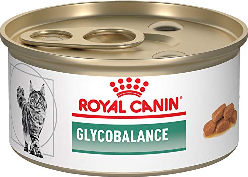 Royal Canin Veterinary Diet Feline Glycobalance Morsels In Gravy Canned Cat Food, 3 oz