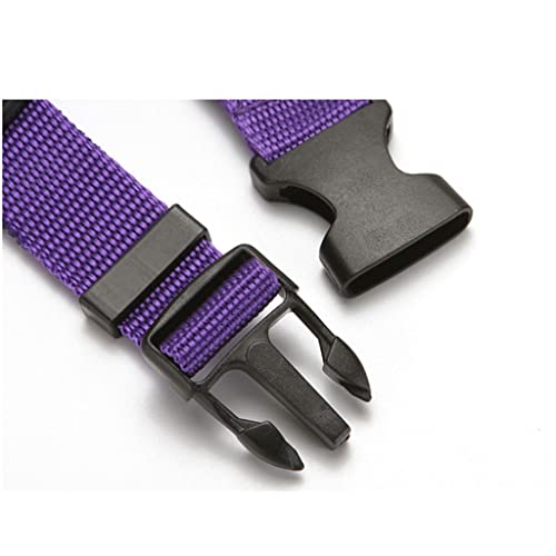 TREXDP Pet Back Seat Collar Adjustable Strap Kitten Dog Collar Pet Accessories
