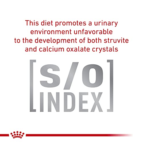 Royal Canin Veterinary Diet Satiety Support Weight Management Loaf in Sauce Wet Cat Food, 5.1 oz, Case of 24, 24 X 5.1 OZ