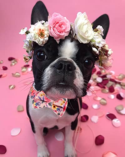 Bow Tie Dog Collar for Small Medium Large Dogs, Comfy Puppy Collars, Adjustable Pure Cotton Dog Collars for Girl and Boy Dog, Pink Dog Collar, Collar para Perros. (S, Pink)