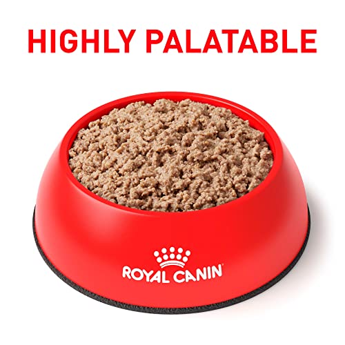 Royal Canin Veterinary Diet Satiety Support Weight Management Loaf in Sauce Wet Cat Food, 5.1 oz, Case of 24, 24 X 5.1 OZ