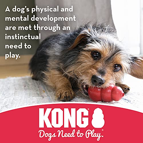 KONG Goodie Bone - Natural Rubber Dog Chew Bone & Treat Dispensing Toy - for Medium Dogs