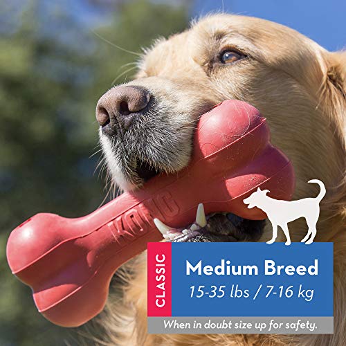 KONG Goodie Bone - Natural Rubber Dog Chew Bone & Treat Dispensing Toy - for Medium Dogs
