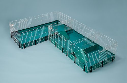 Guinea Habitat Plus Guinea Pig Cage by MidWest w/ Top Panel, 47L x 24W x 14H Inches