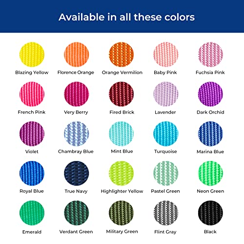 Blueberry Pet Essentials 21 Colors Classic Dog Collar, Turquoise, Small, Neck 12"-16", Nylon Collars for Dogs
