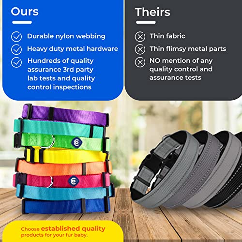 Blueberry Pet Essentials 21 Colors Classic Dog Collar, Turquoise, Small, Neck 12"-16", Nylon Collars for Dogs