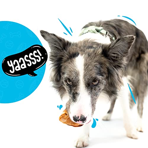 Sitka Farms Premium Beef Knee Caps Smoked Dog Bones | Long Lasting Dog Treats for Aggressive Chewers | Free Range - Grass Fed Beef Cattle | for Small - Large and Medium Breed Dogs | (25 Count)