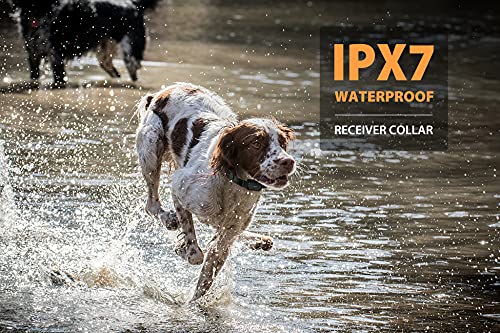 PATPET Dog Training Collar with Remote(3/4 Mile) - Outdoor Hunting E Collar for Dogs Training, Shock Collar for Medium Large Dogs(15-140 lbs)