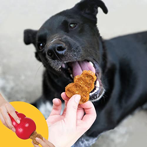 KONG - Jerky - All Natural Soft Jerky Dog Treats - Chicken Flavor, Fits Medium to X-Large, 5 Oz, Made in The USA