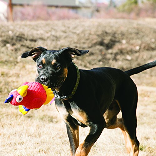 KONG Wiggi Alligator Dog Toy, Large