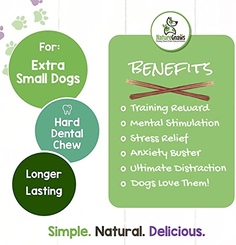 Nature Gnaws Extra Thin Bully Sticks for Dogs - Premium Natural Beef Dental Bones - Long Lasting Dog Chew Treats for Small Dogs & Puppies - Rawhide Free
