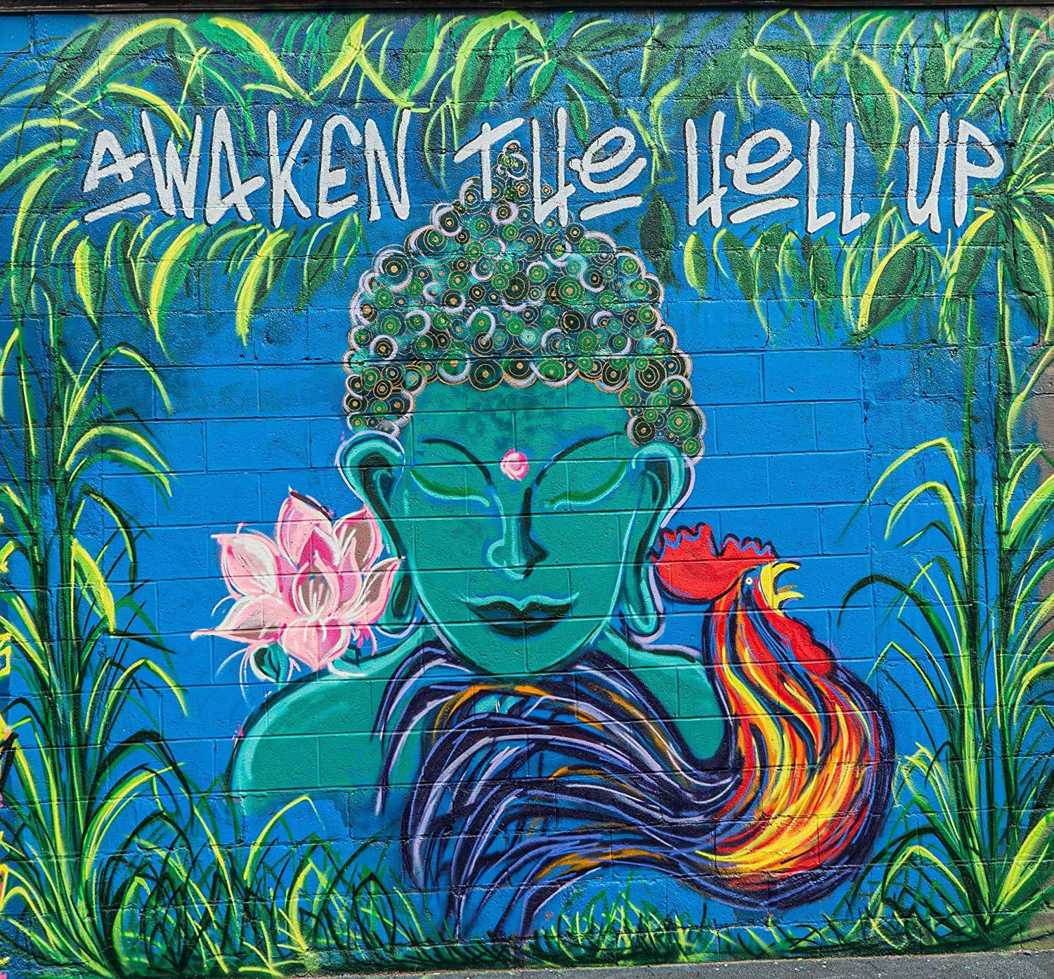 Wake The Hell Up! 12oz Ultra-Caffeinated Blueberry Ground Coffee, Low Acid, Medium-Dark Roast