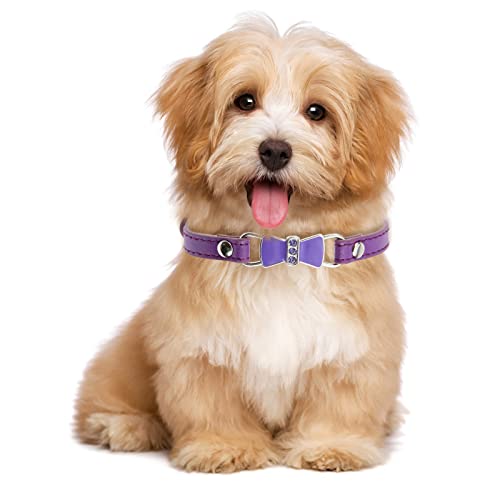 Personalized Dog Collars with Bling Rhinestone Pet Custom Padded Pu Leather Dog Collar for Small Size