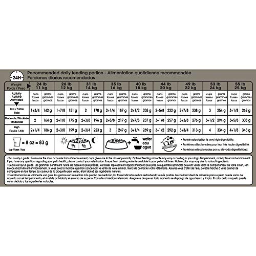 Royal Canin Medium Digestive Care Dry Dog Food, 30 lb bag