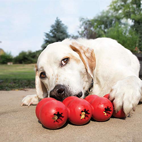 KONG - Classic Goodie Ribbon - Durable Rubber Stuffable Dog Toy - for Medium Dogs