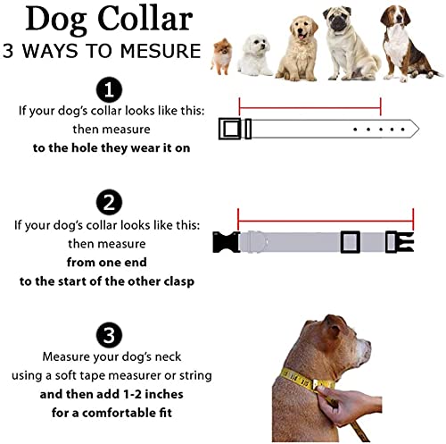 Roses&Poetry Reflective Dog Collar with Gradient Mistyrose,Adjustable Durable Pet Collars for Small Medium Large Dogs （Mistyrose-XS