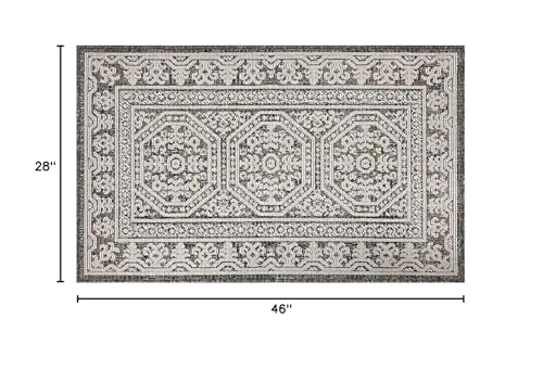 Pilgrim Home and Hearth 19653-1 Area Rugs, 46" x 28", Beautiful