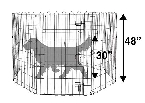 Amazon Basics Foldable Metal Exercise Pet Play Pen for Dogs, Single Door, 60 x 60 x 48 Inches, Black