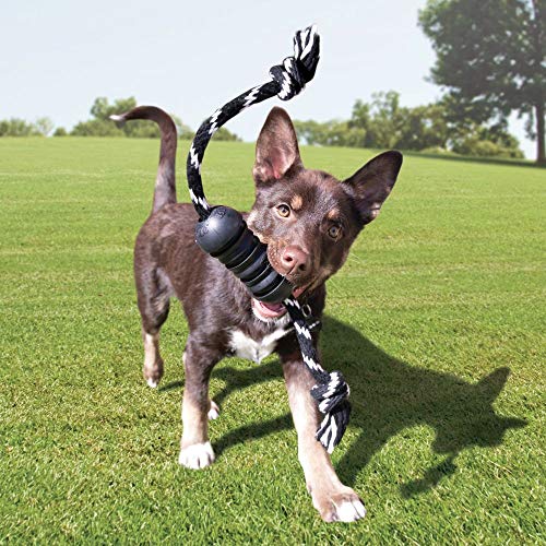 KONG - Extreme Dental - Durable Natural Rubber Dog Bone for Power Chewers, Black - for Large Dogs