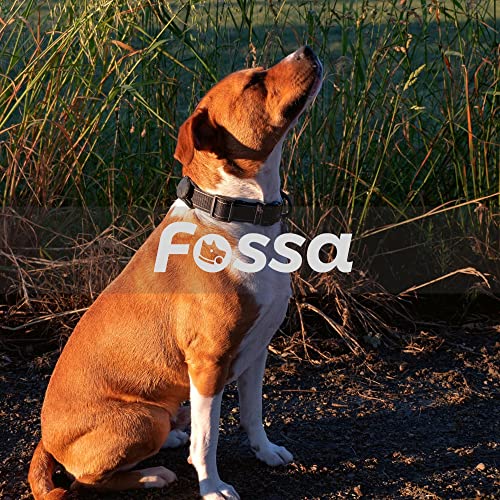 FOSSA Airtag Dog Collar Holder, Large Dog Airtag Holder, Waterproof Dog Collar Airtag Holder, Cat Air Tag Tracker Case