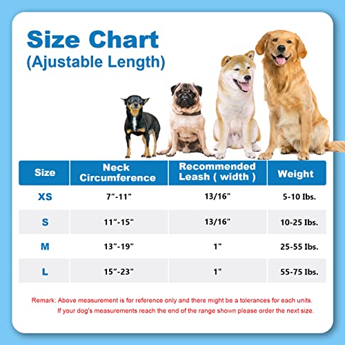 Brilliant Paw Reflective Dog Collar, Adjustable Nylon Collar, Strong Yet Comfortable, Safety Locking Buckle, Length Adjustable for Small Medium and Large Dog